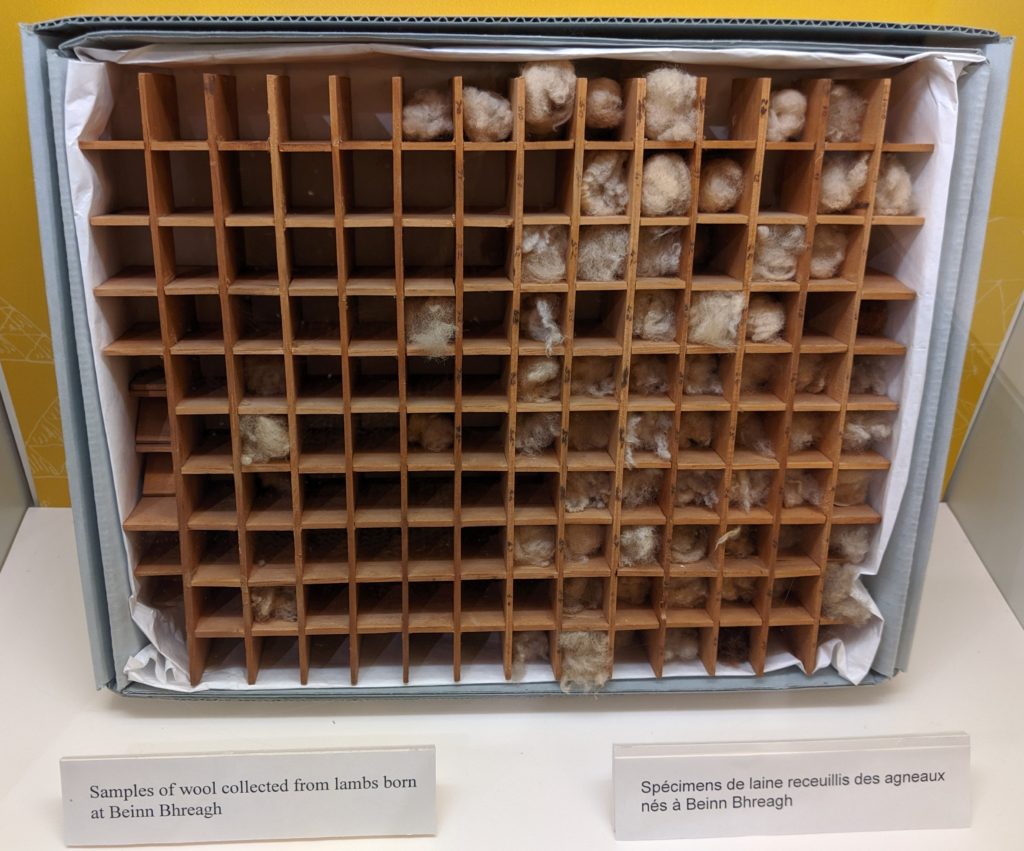 2019 Nova Scotia - part 5, Cape Breton: Bell's other pursuits and his ...