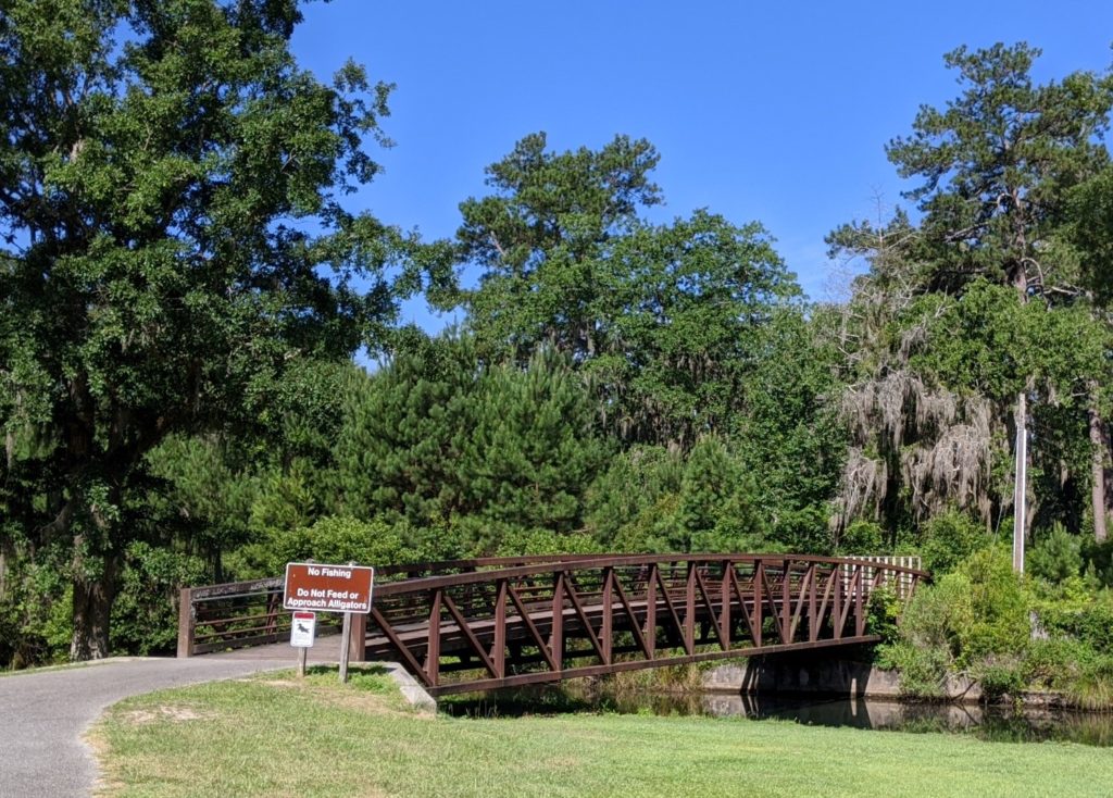 2020 Georgia - part 11: Magnolia Springs State Park, a hike, and life ...