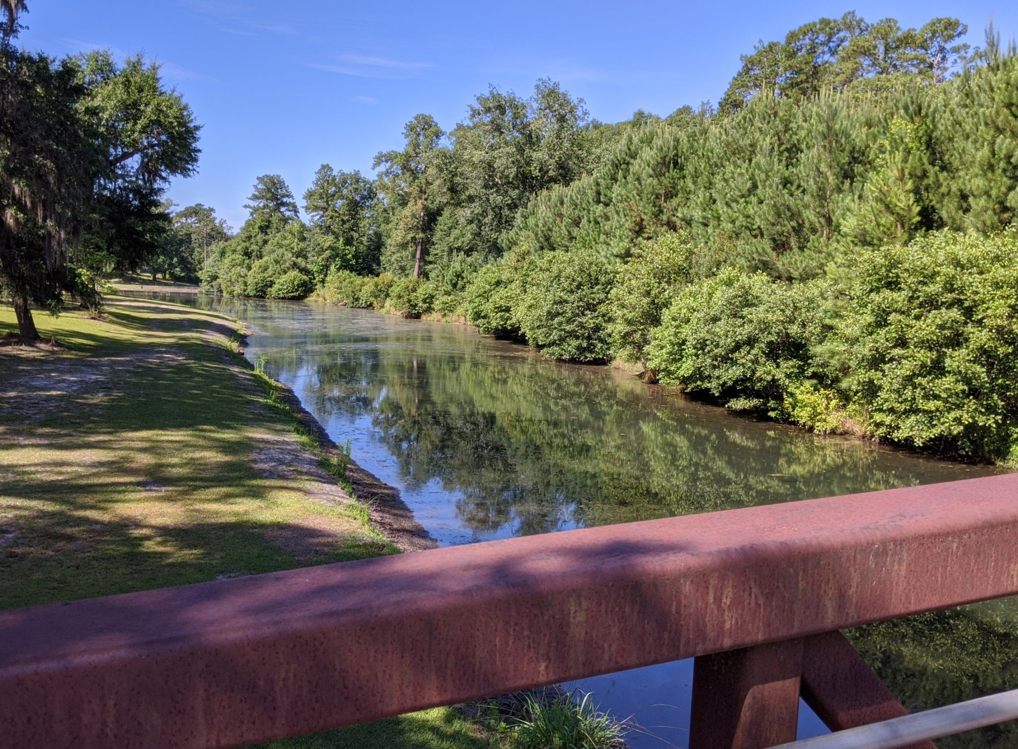 2020 Georgia - part 11: Magnolia Springs State Park, a hike, and life ...