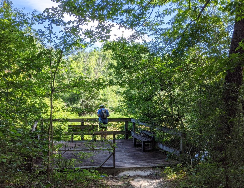 2020 Georgia - part 11: Magnolia Springs State Park, a hike, and life ...