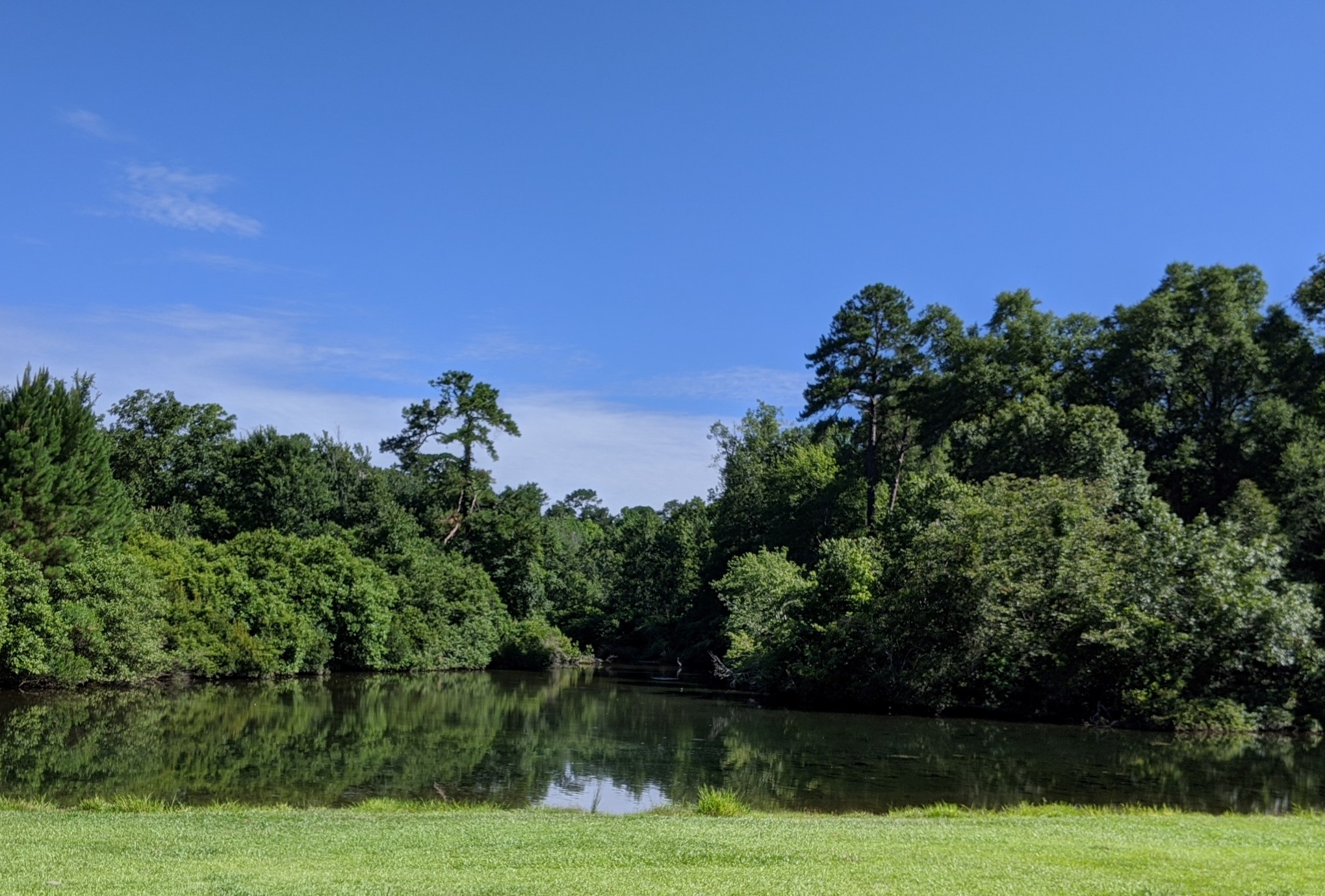 2020 Georgia - part 11: Magnolia Springs State Park, a hike, and life ...