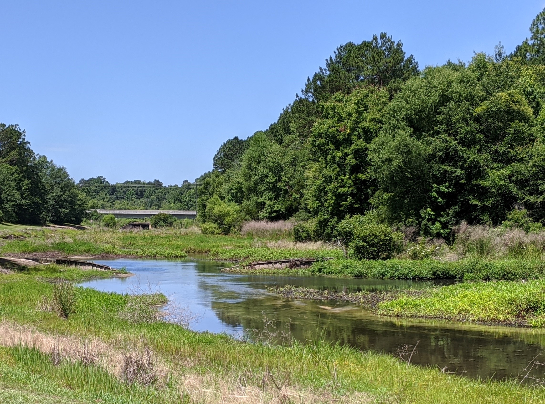 2020 Georgia - part 11: Magnolia Springs State Park, a hike, and life ...