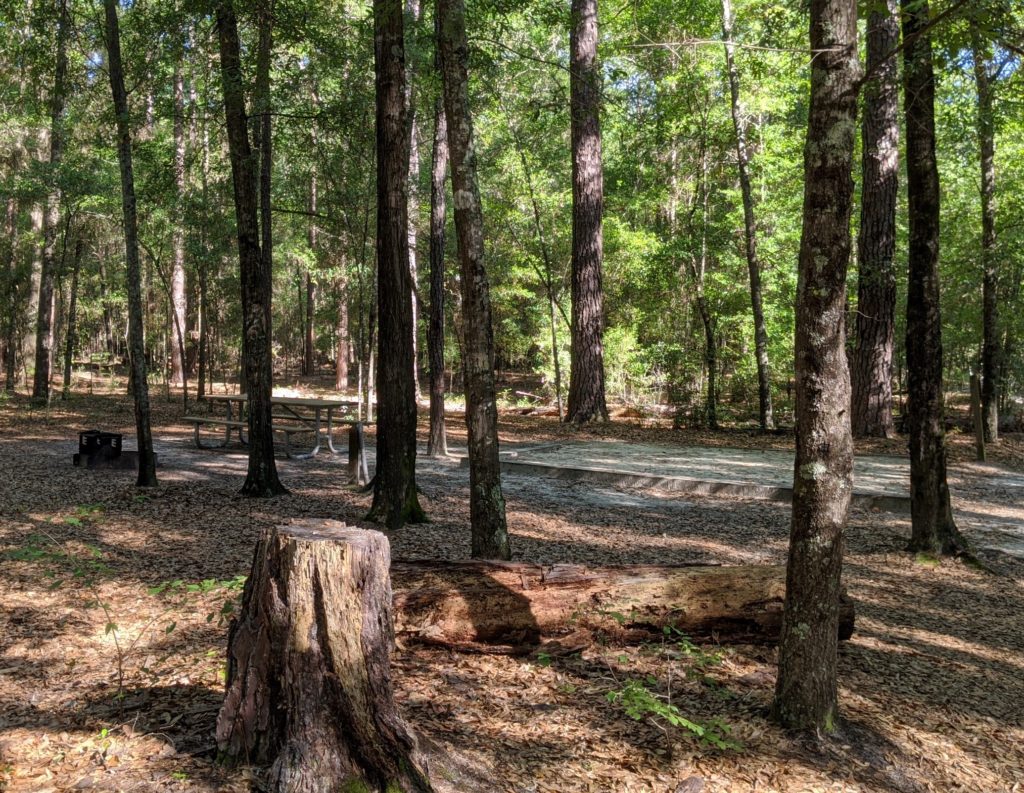 2020 Georgia - part 11: Magnolia Springs State Park, a hike, and life ...