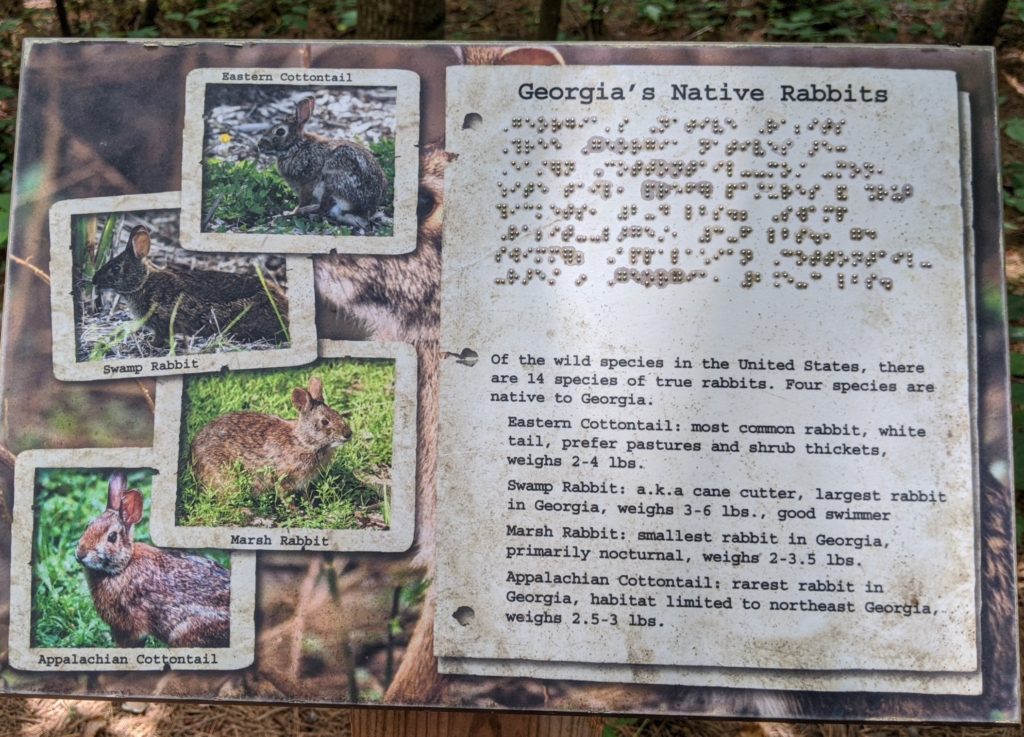 2020 Georgia - part 16: Fort Yargo State Park's trails - taking a hike ...