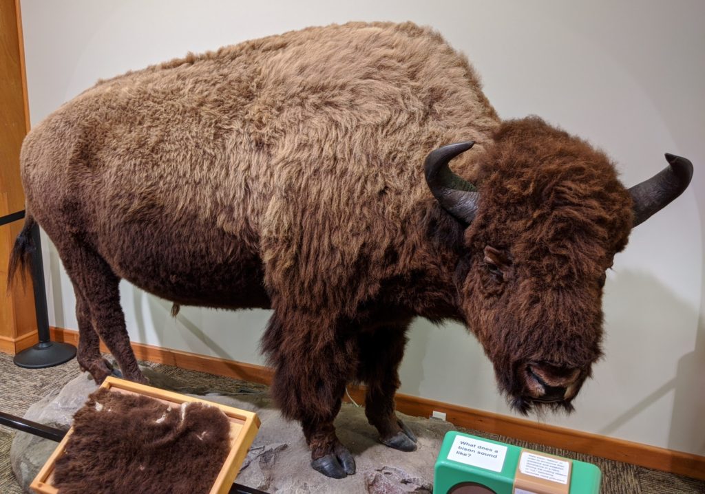 2020 North Dakota - part 2: Jamestown and all you want to know about ...